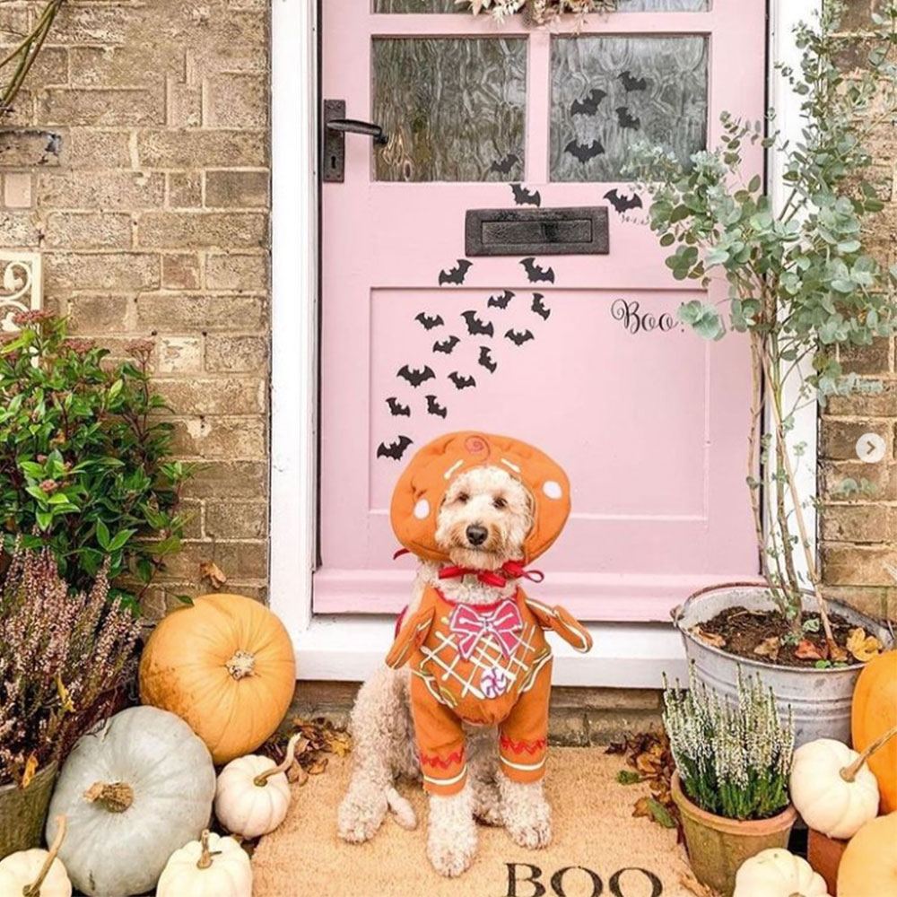 Bespoke Software Development Company | Code Galaxy